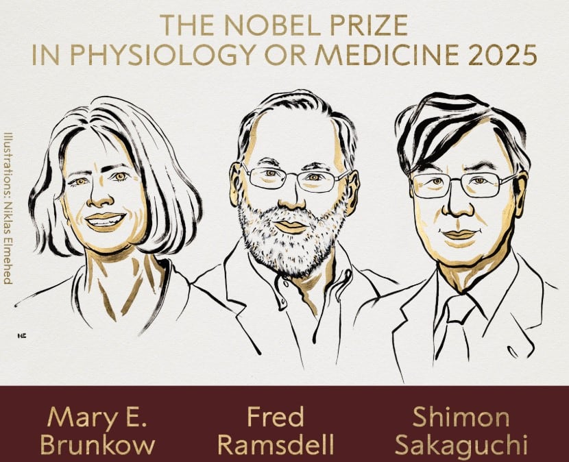 Mary E. Brunkow, Fred Ramsdell y Shimon Sakaguchi ganan el Nobel de Medicina 2025 por sus ...
